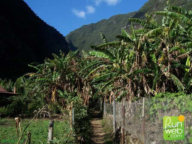 La Réunion - randonnée à Grand-Bassin